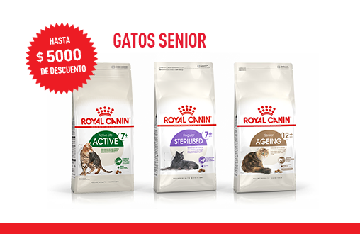 Gatos Senior | Mi Royal Canin